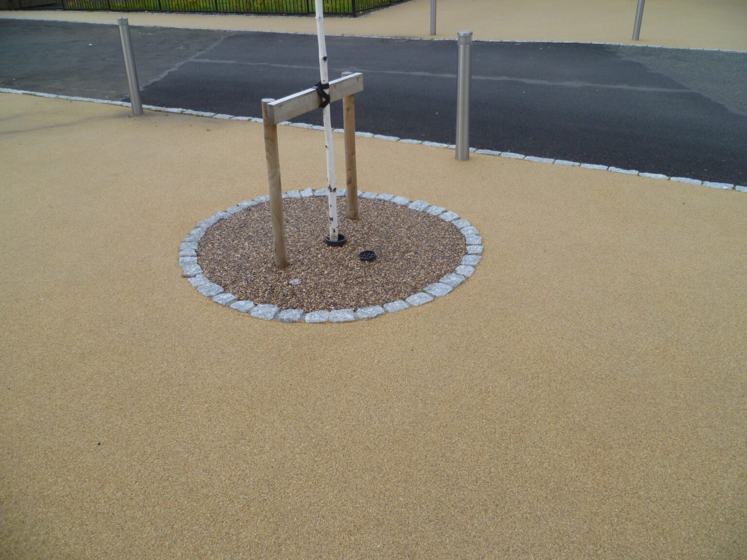 Tree Pit | Barley Butter - Sureset Resin Systems